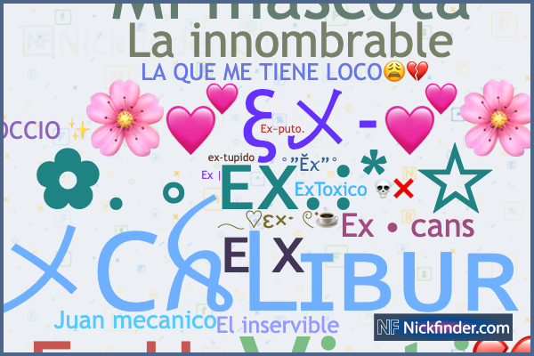 Nicknames for EX: Extupido, EX AL QUE AMO, Eldeantes😂, ExToxico 💀 ...